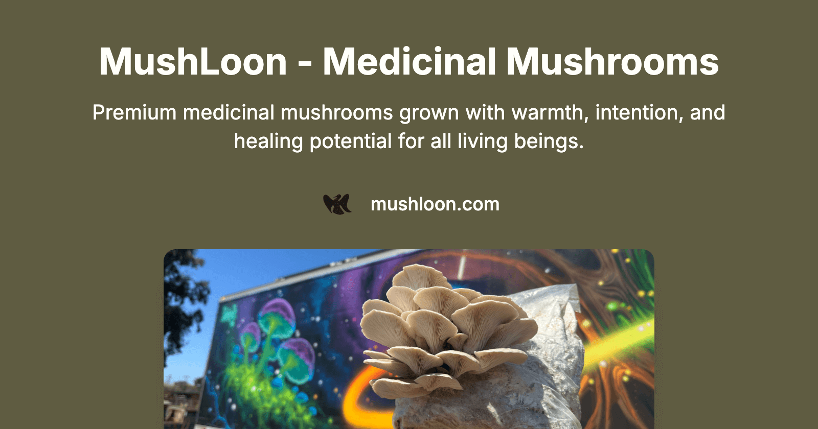 MushLoon - Performance Mushrooms